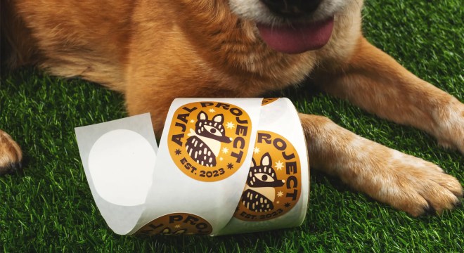 Die cut labels | Quick free shipping | Sticker Mule